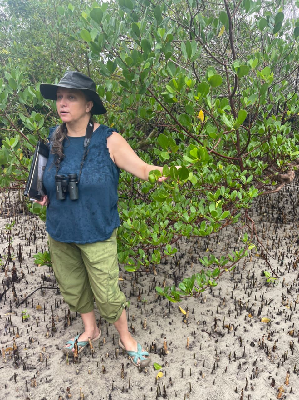 Space for Nature - Our Green Company - OGC Ltd